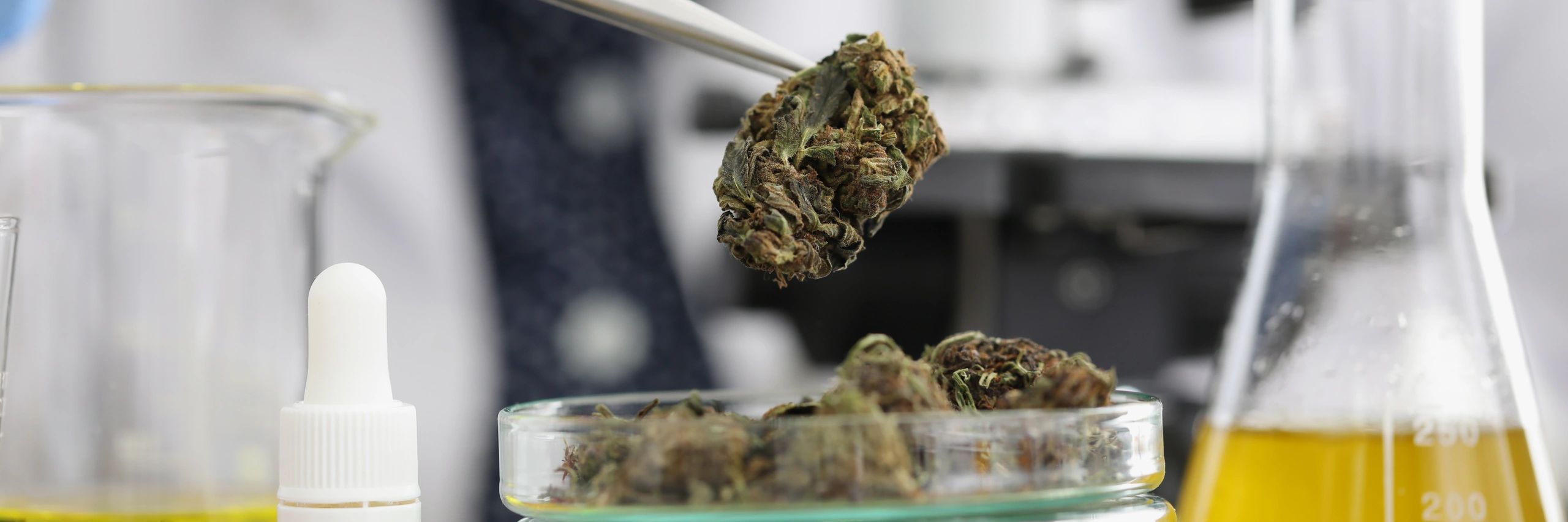Third-Party Lab Testing in Florida
