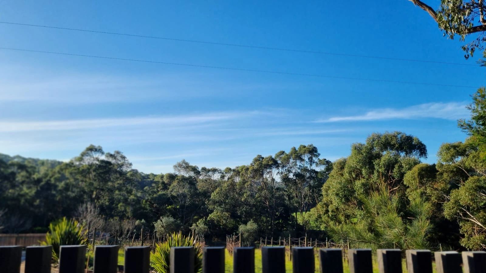 Treetops at Red Hill: Peppercorn Cottage and The Winemakers Cottage