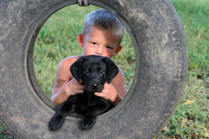 What Is Puppy Imprinting