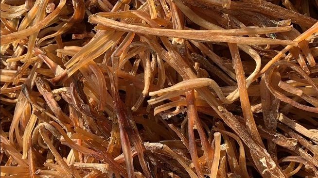 AWF Global Meat Import/Export Wholesale and Distibution - Frozen Meat