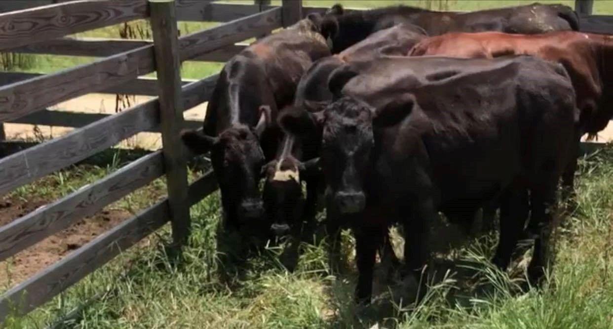 Three Lakes Ranch - Home