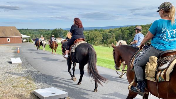 Trail Rides