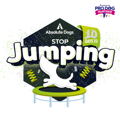 Stop Jumping! | Legende Let Hundetræning