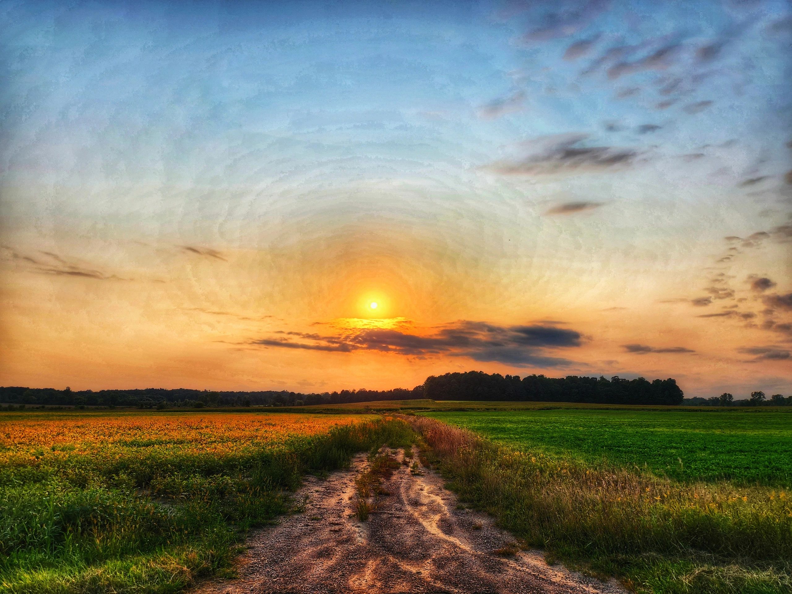 Rachel Hathaway Photography