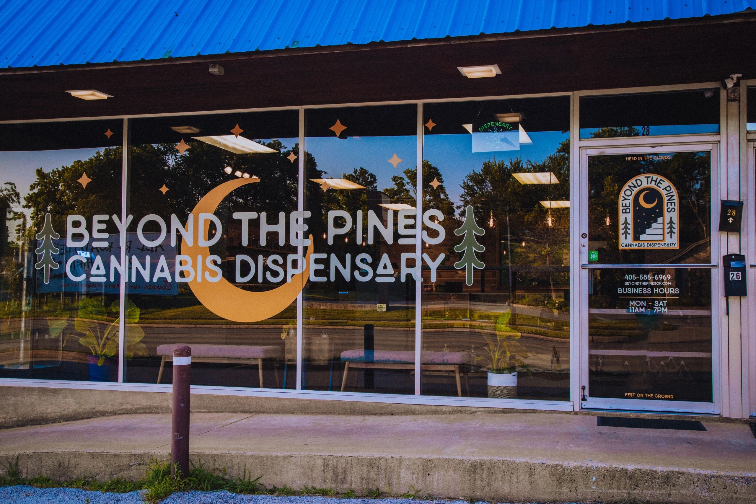 Dispensary - Beyond The Pines