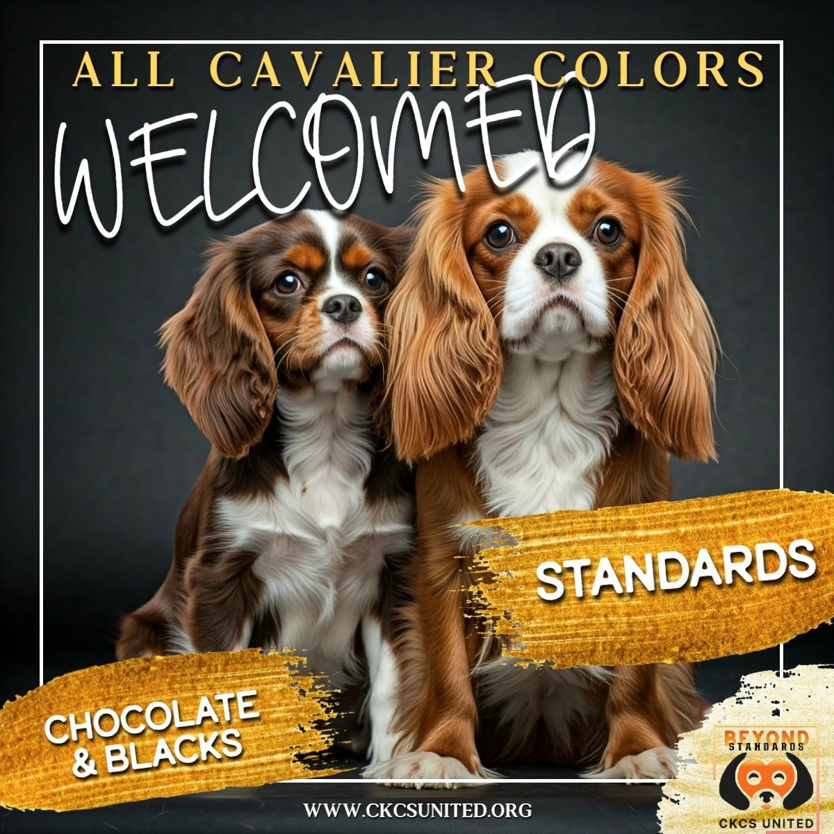 푪홖풏 푺황풂홣풅홖풓홙 혾풂홫풂홡풊홚풓홨 홊풘홣풆홧풔/푩홧풆홚