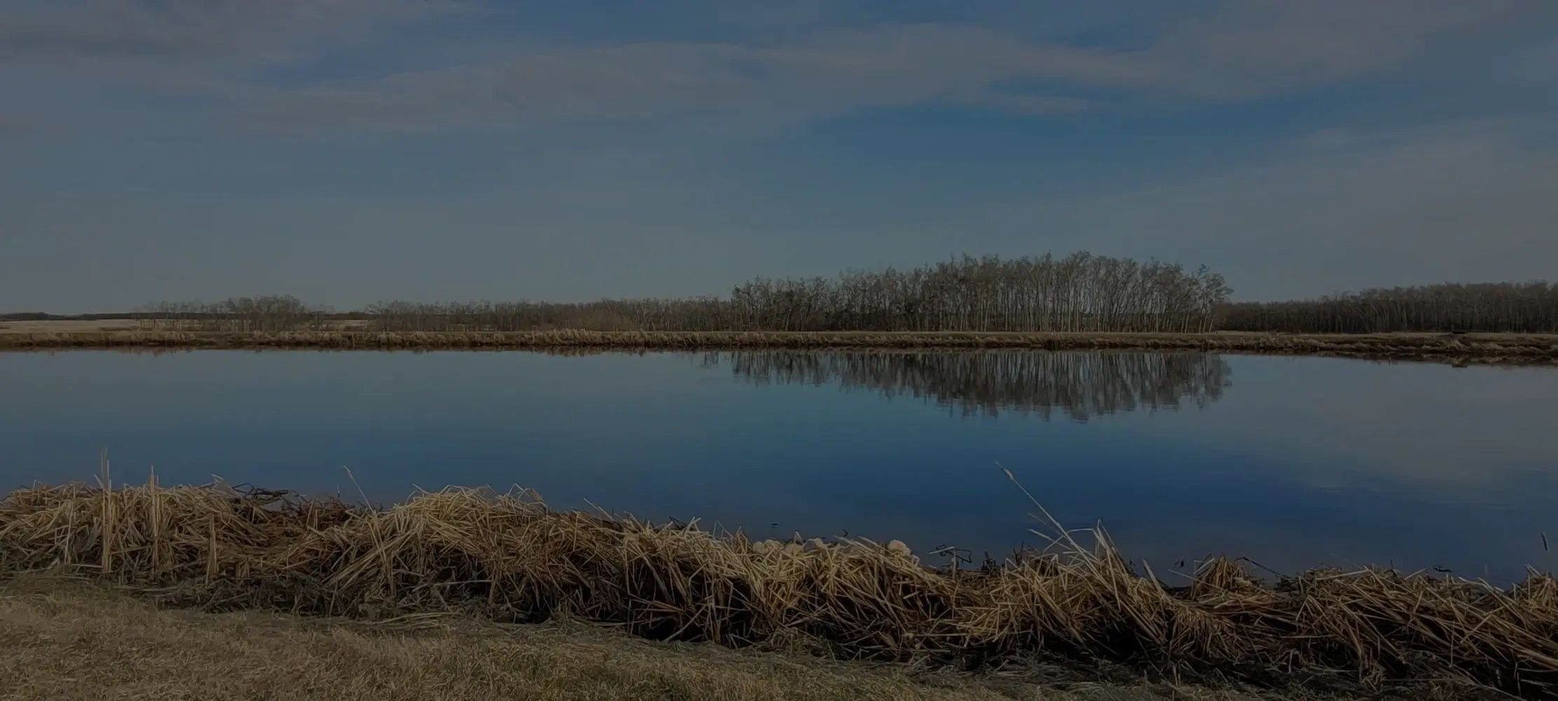 Integrated Water Systems Inc. - Advanced Water and Wastewater Treatment ...