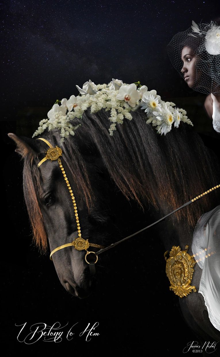 Kingdom Bible Studies