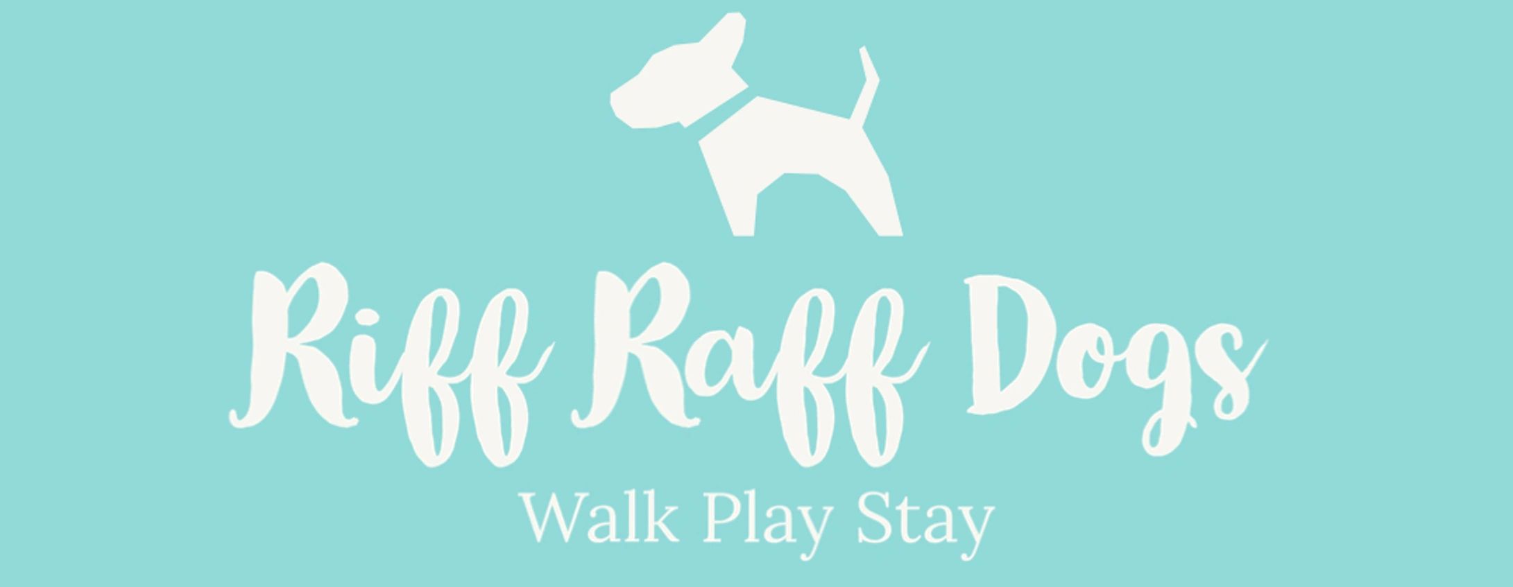 Top Dog Daycare & Walking Services in Your Area