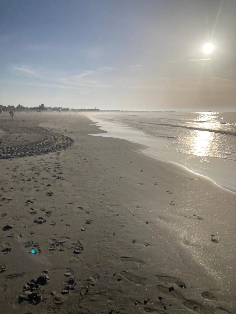 Fast crowds at NTB + a NNN swim