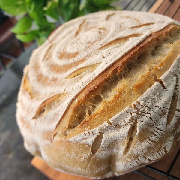 Custom Cookies & Cakes at Num Nums Bakery