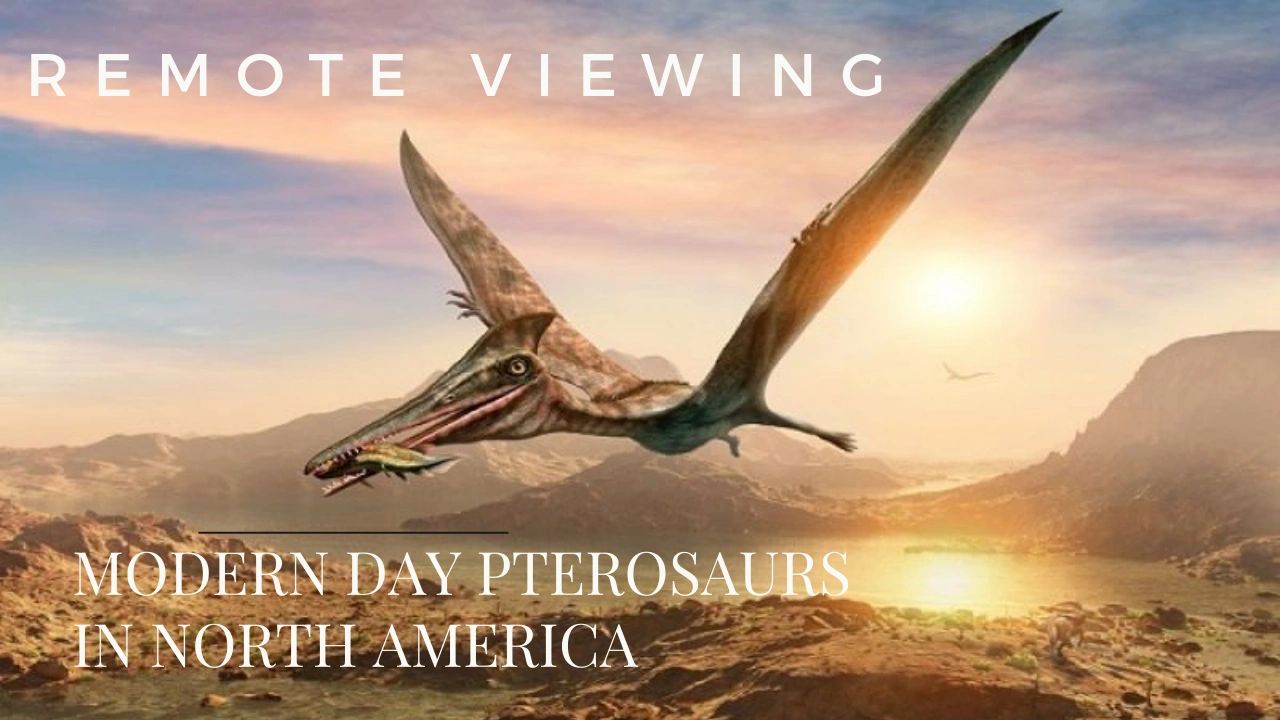 Modern Day Pterosaur Sightings