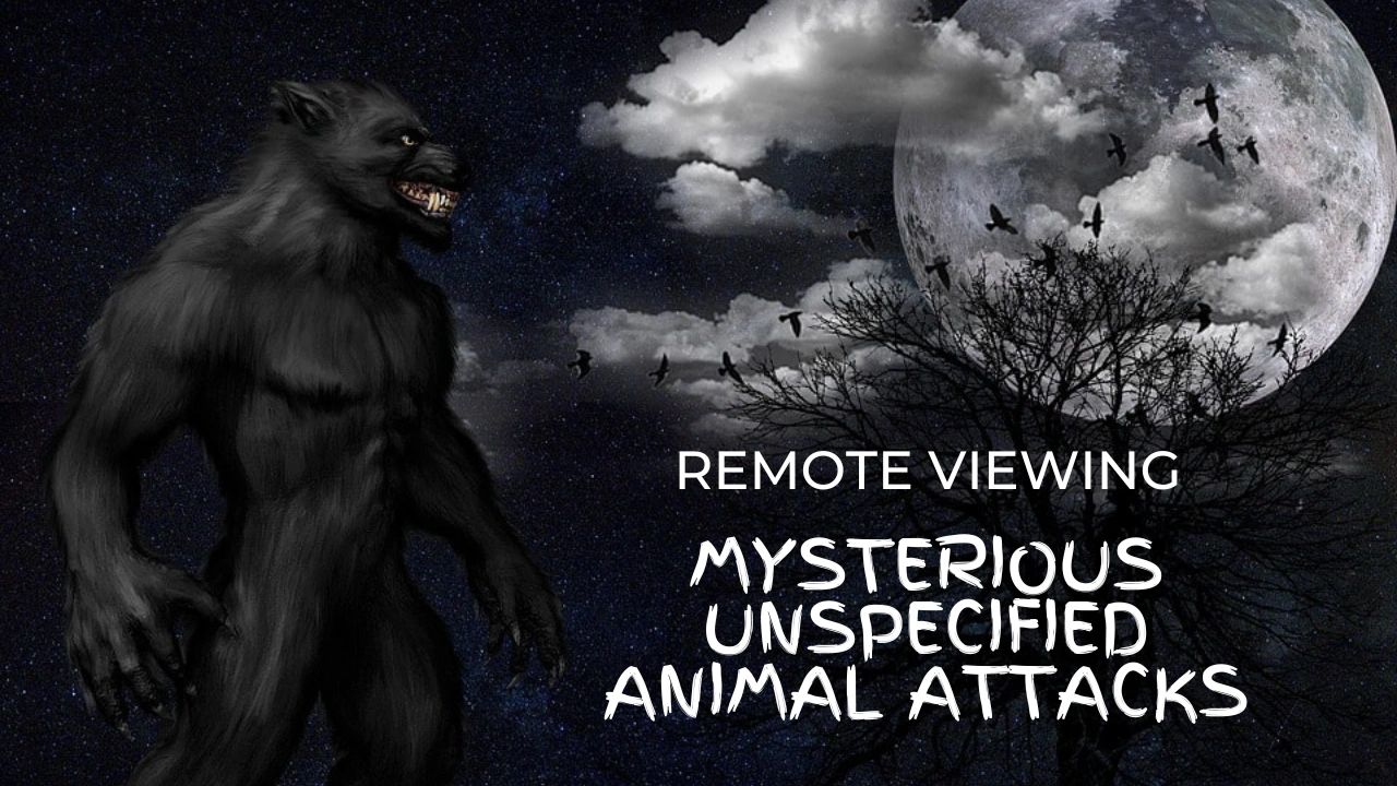 Mysterious Unspecified Animal Attacks