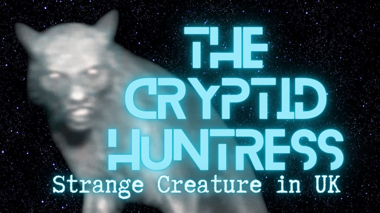 Strange Creature Caught on Trail Cam in the UK