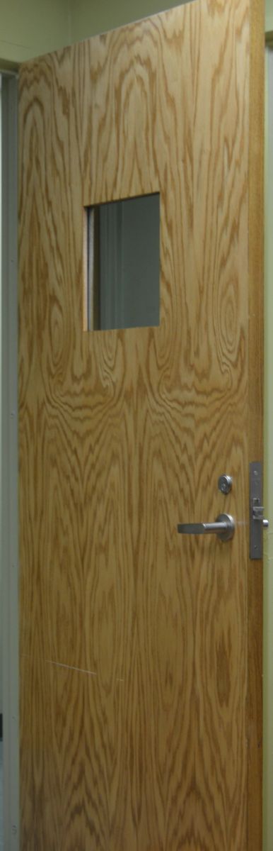 Wood Veneer Steel Security Doors & Frames