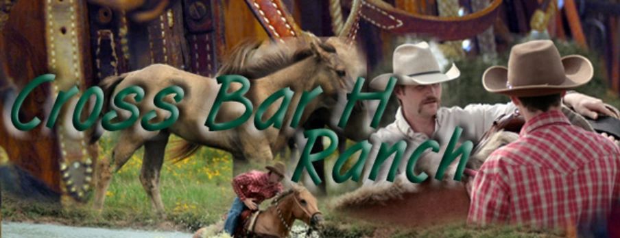 Toy Schnauzers - Cross Bar H Ranch