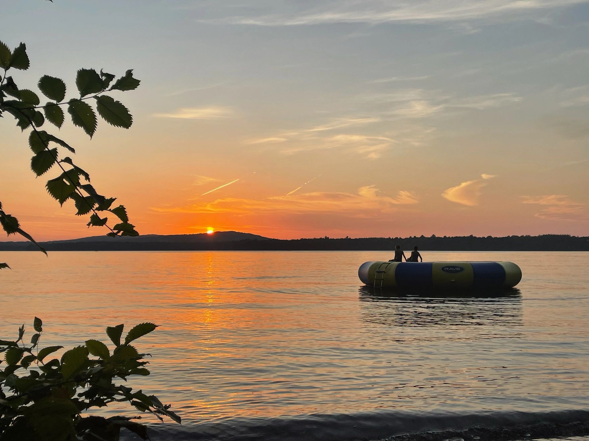 White Birch Holcombe