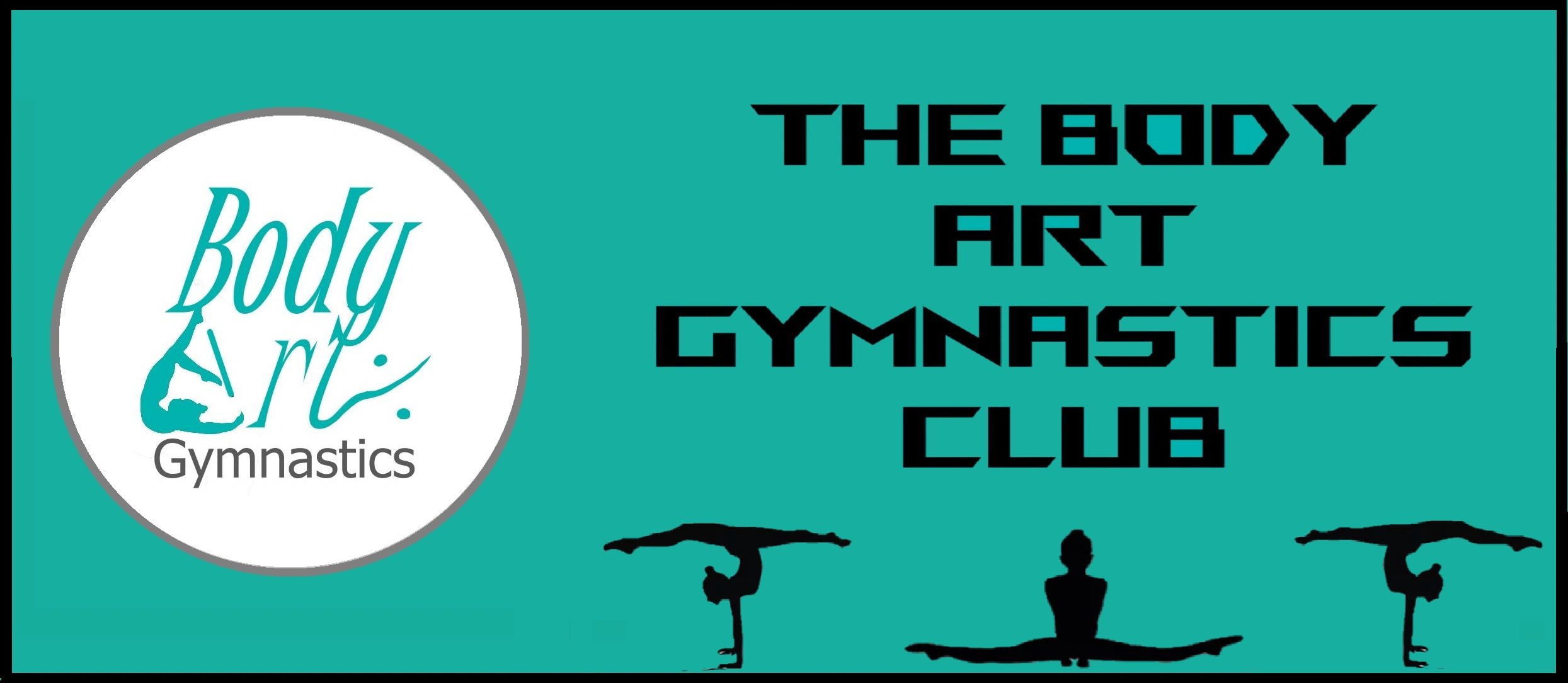 Body Art Gymnastics