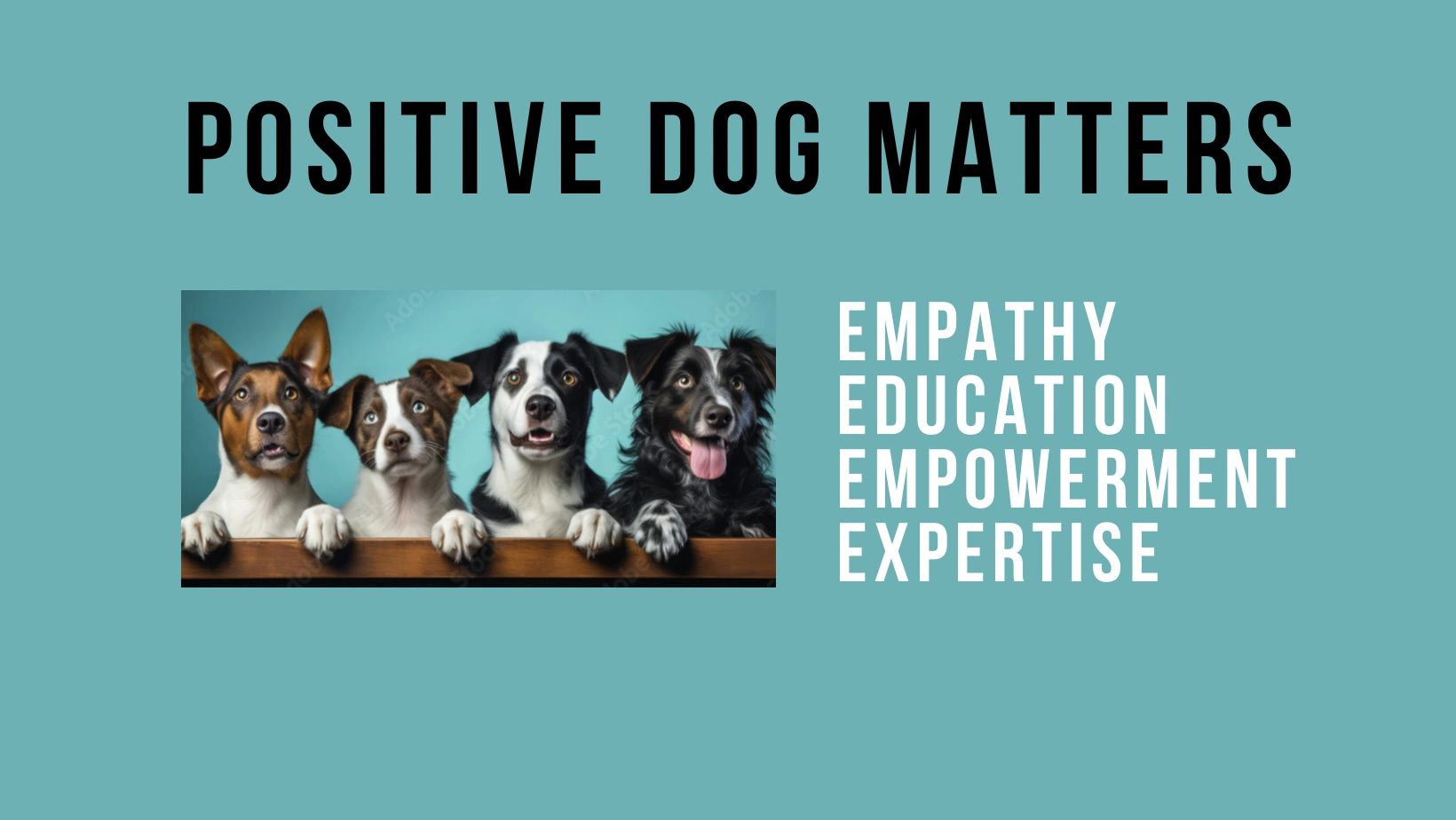 Expert Dog Training Services for Pet Dogs