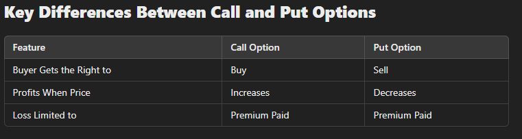 WHAT IS PUT AND CALL OPTION?