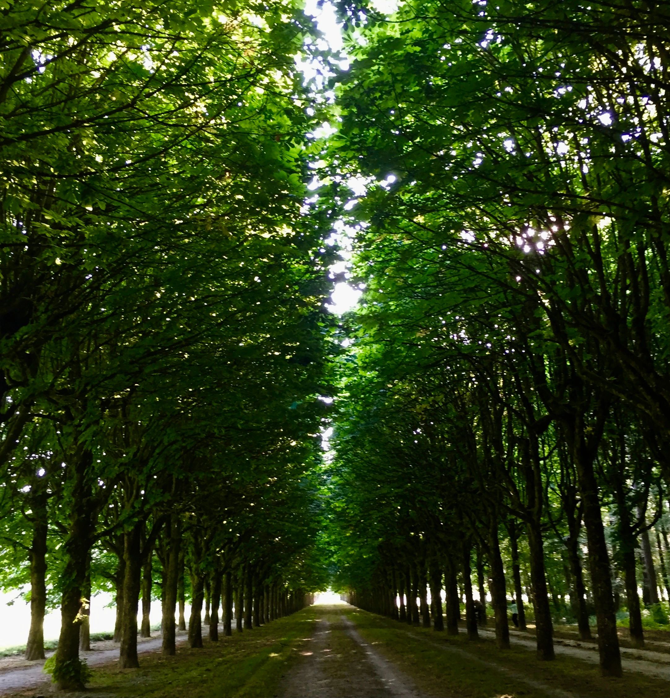 About Us | Raintree Group