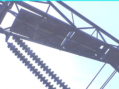 BUZZARD GUARDS | ZENA Inc