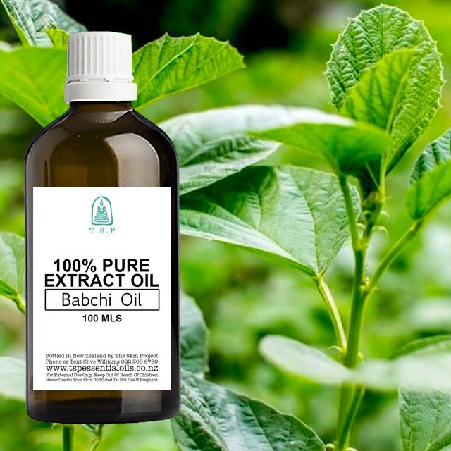 Babchi Oil 100% Pure Extract Oil - 100 ml Bottle