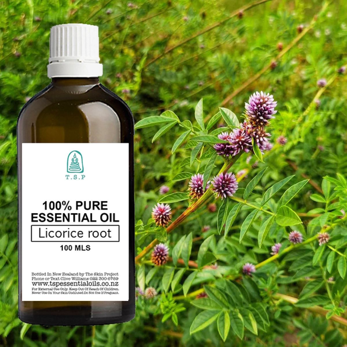 Licorice Root 100% Pure Extract Oil - 100 ml Bottle