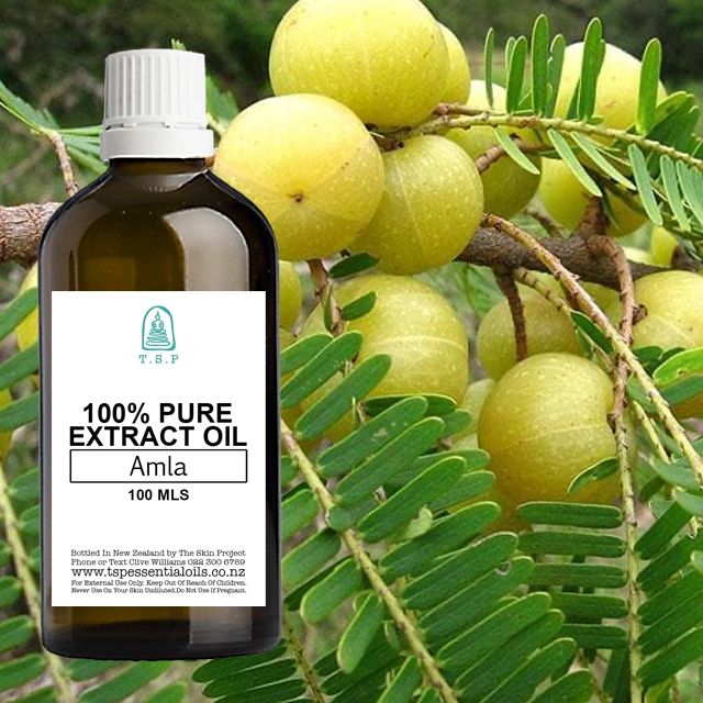 Amla 100% Pure Extract Oil - 100 ml Bottle
