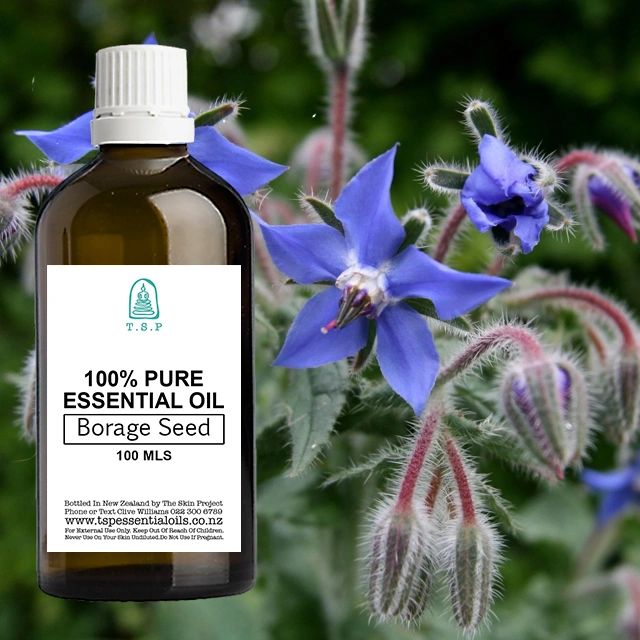 Borage Seed 100% Pure Extract Oil - 100 ml Bottle