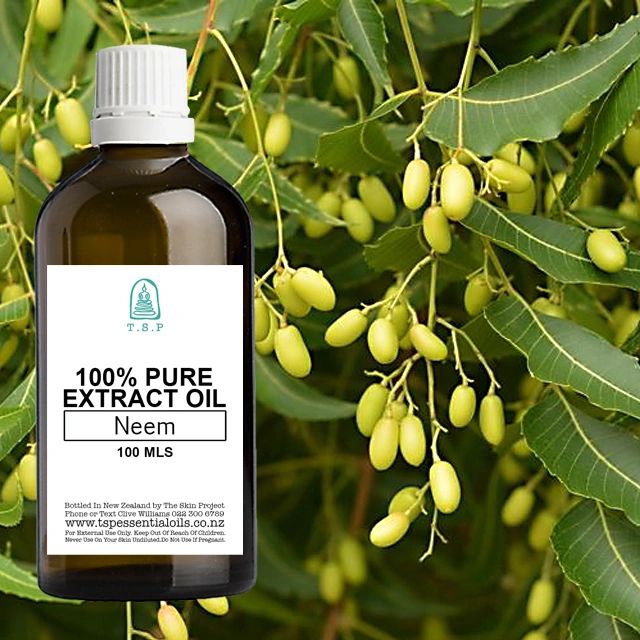 Neem 100% Pure Extract Oil - 100 ml Bottle