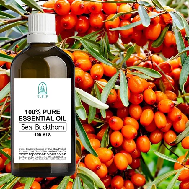 Sea buckthorn 100% Pure Extract Oil - 100 ml Bottle