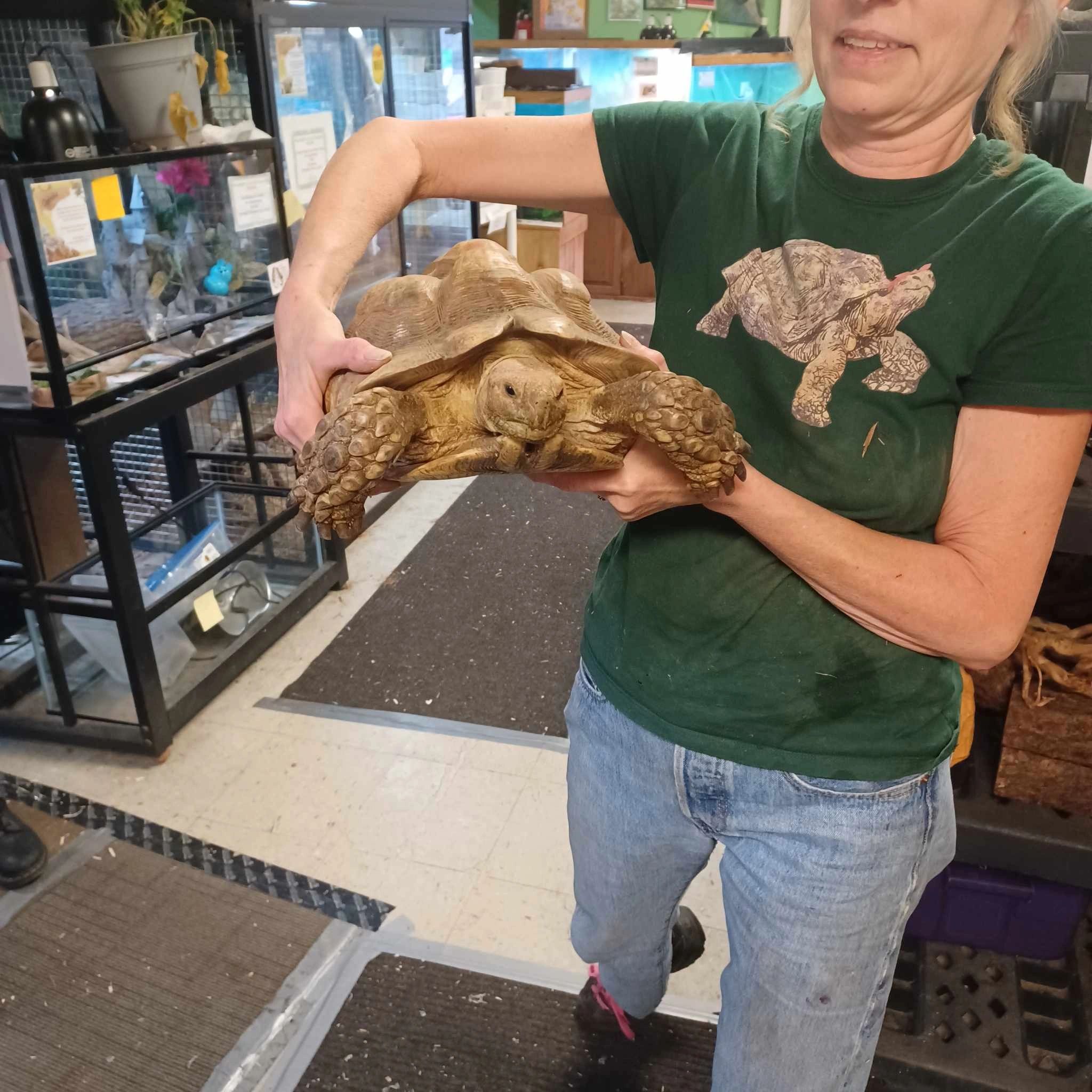 April 2024 Adoptables