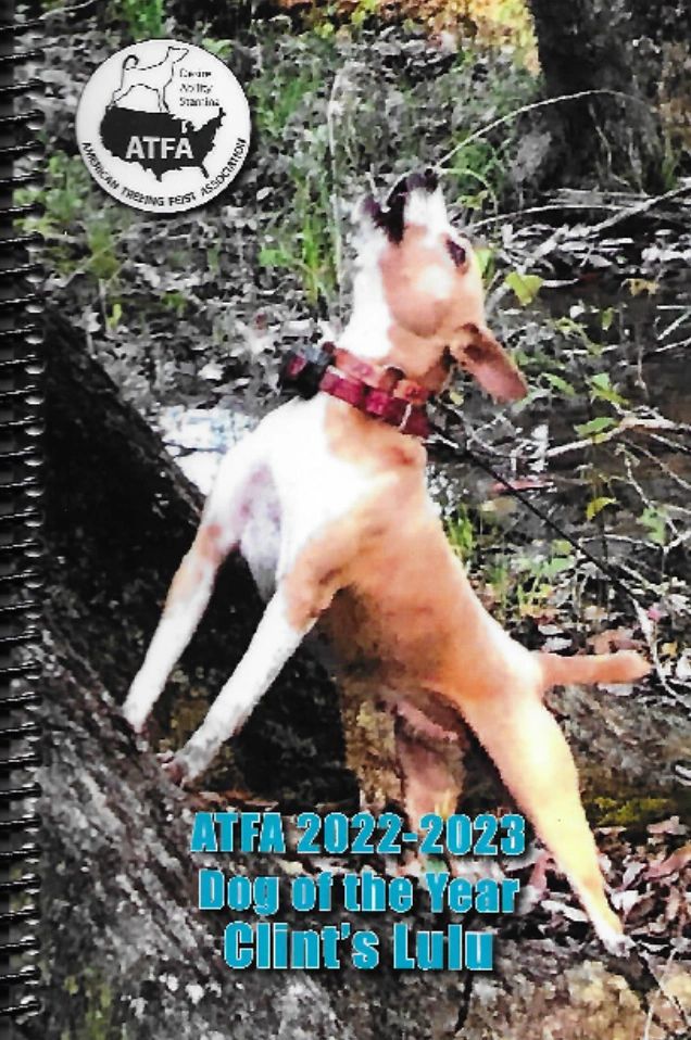 Squirrel Hunting - American Treeing Feist Association