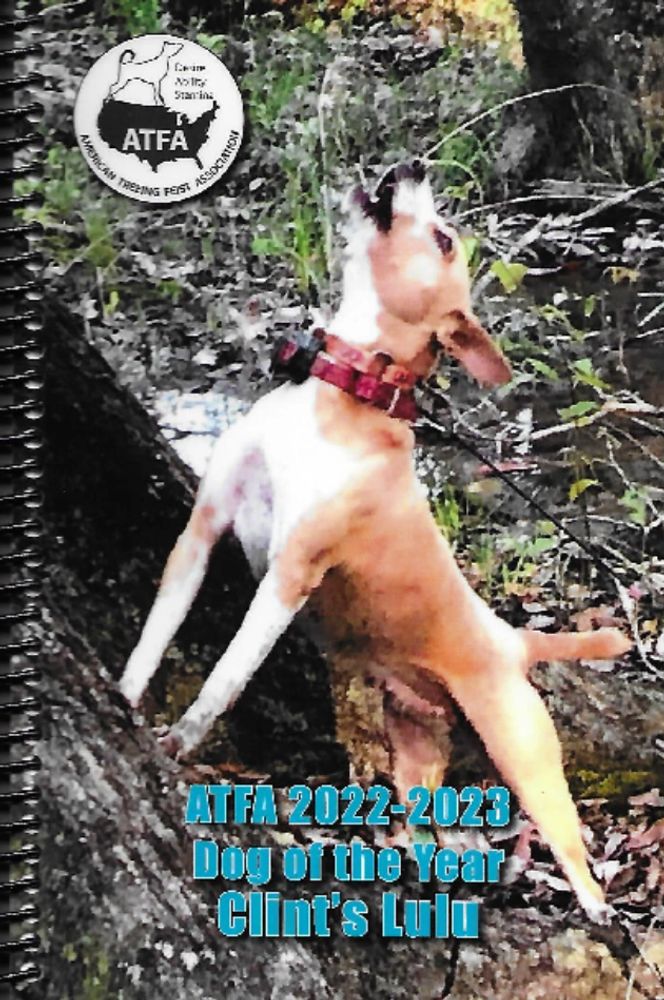 Squirrel Hunting - American Treeing Feist Association