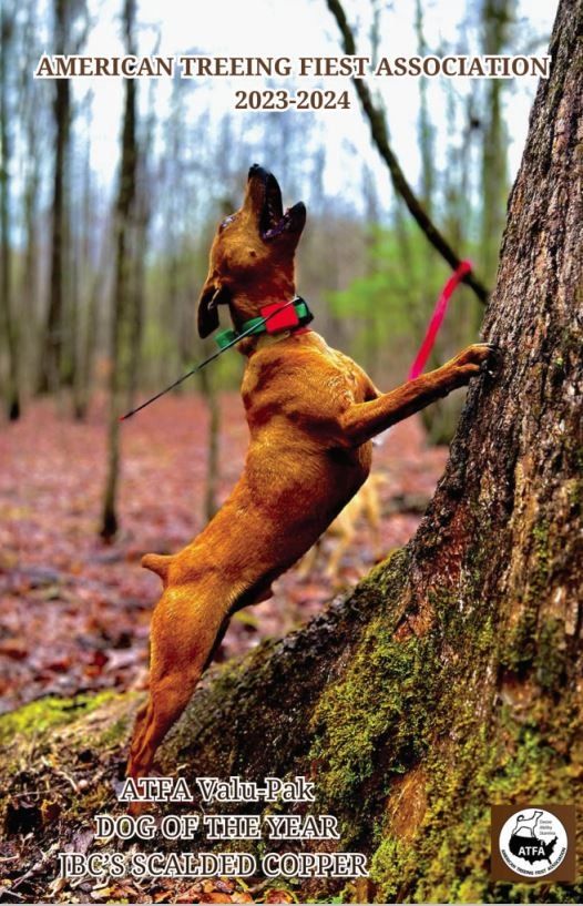Squirrel Hunting - American Treeing Feist Association
