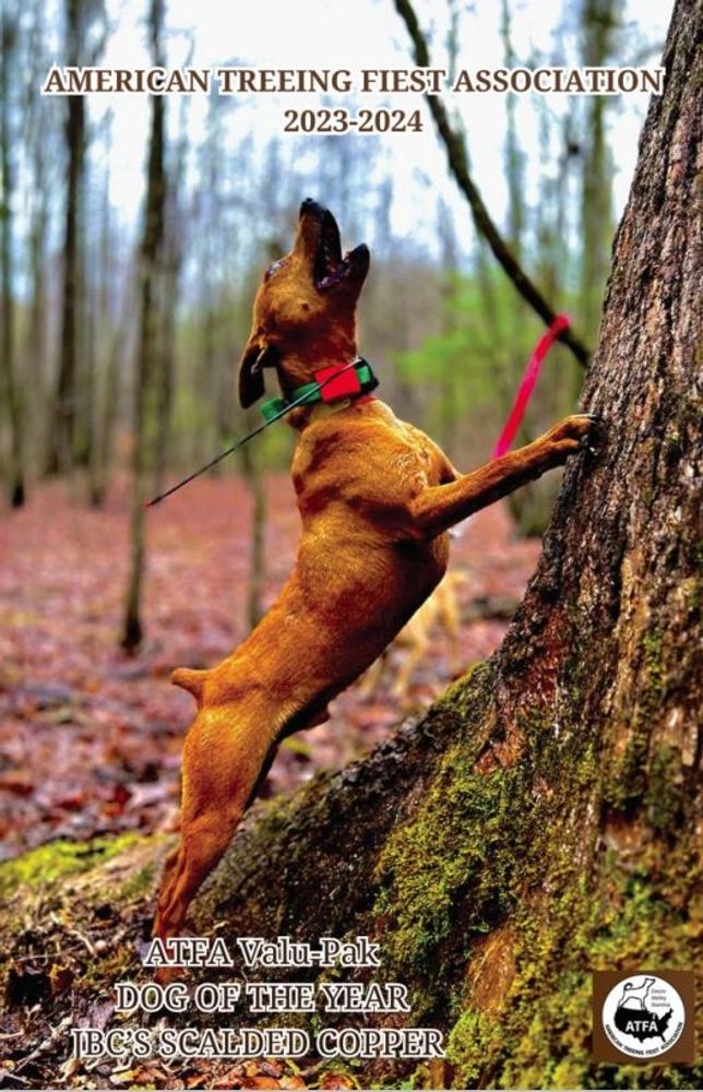 Squirrel Hunting - American Treeing Feist Association
