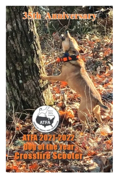 How Do Denmark Feist Hunt