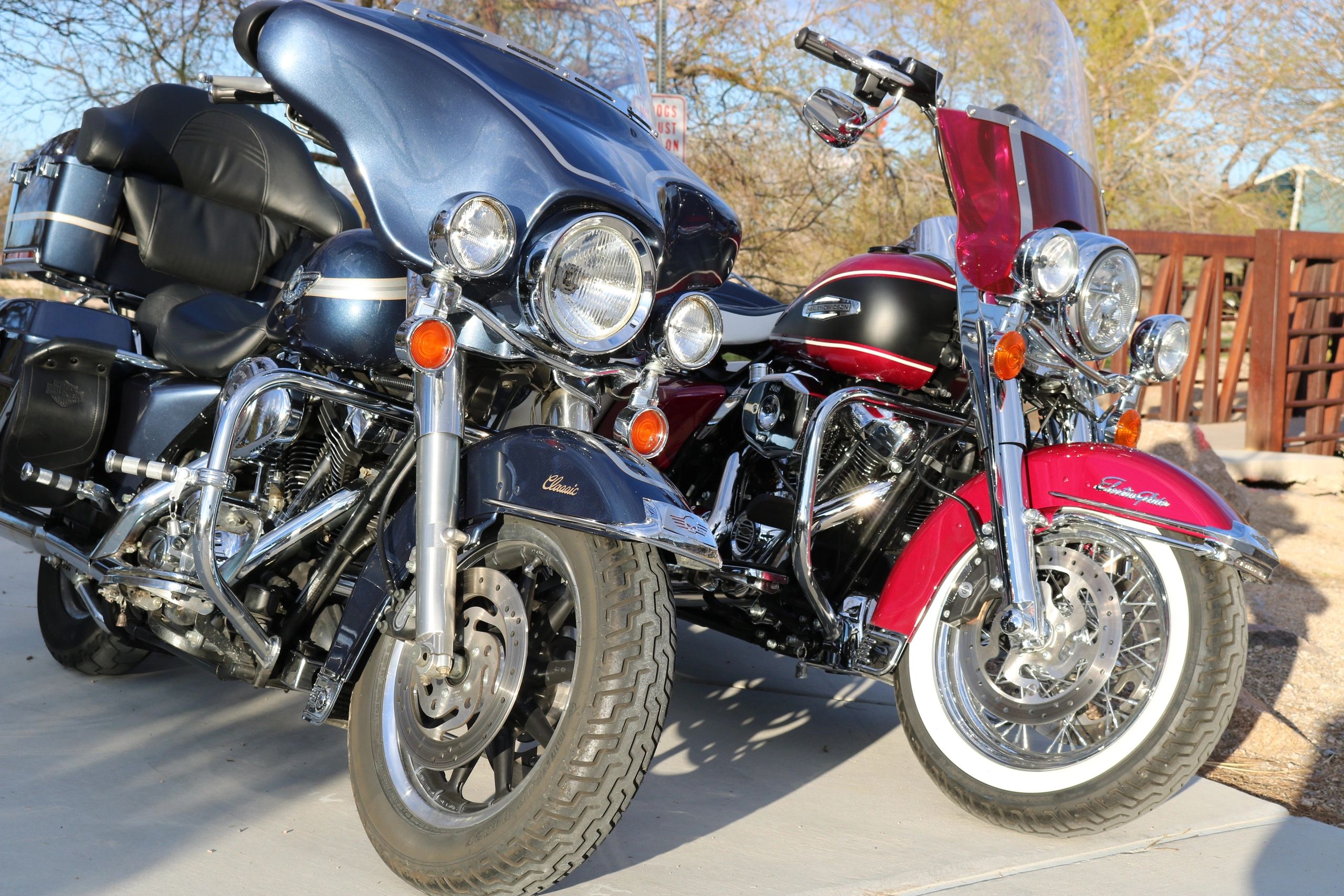 Twin Cam Torque spec