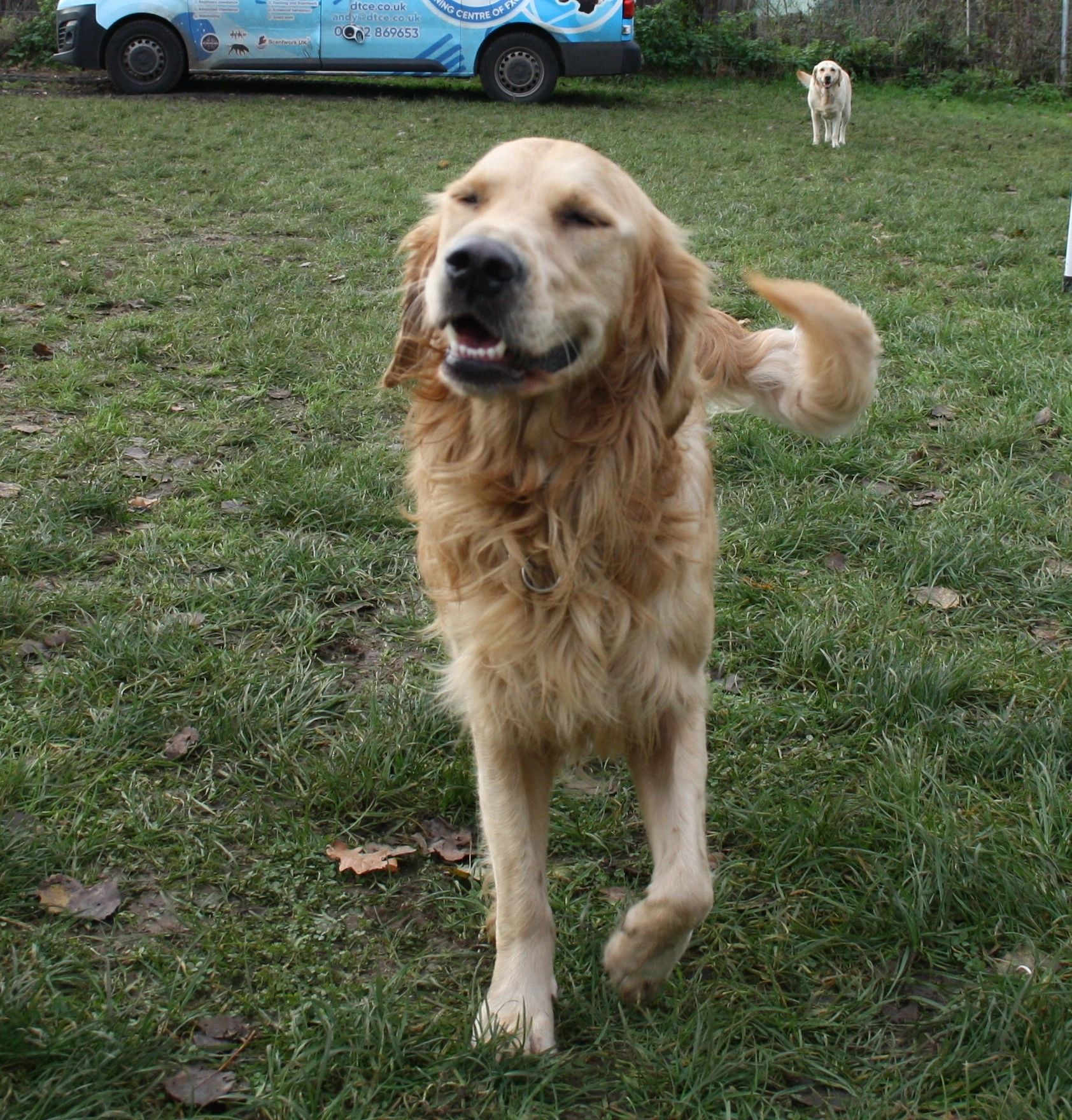 Recall Workshop 07/10/23