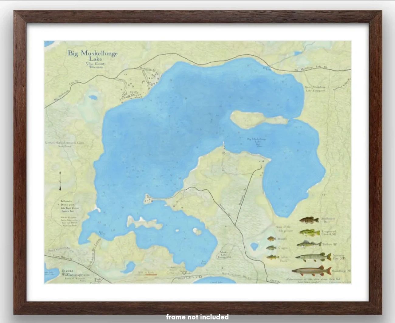 New Map of Big Muskellunge Lake