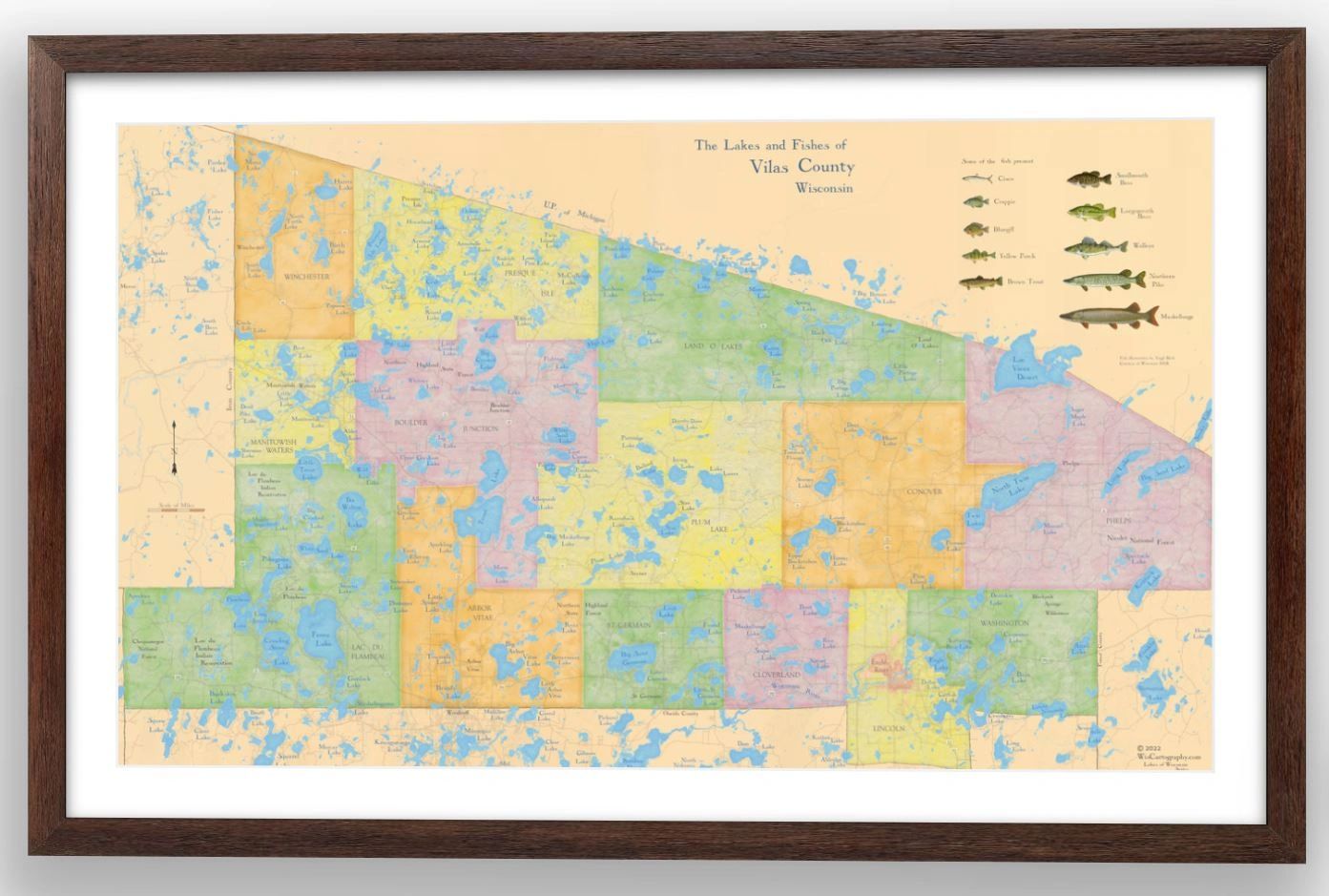 The Lakes and Fishes of Vilas County Wisconsin