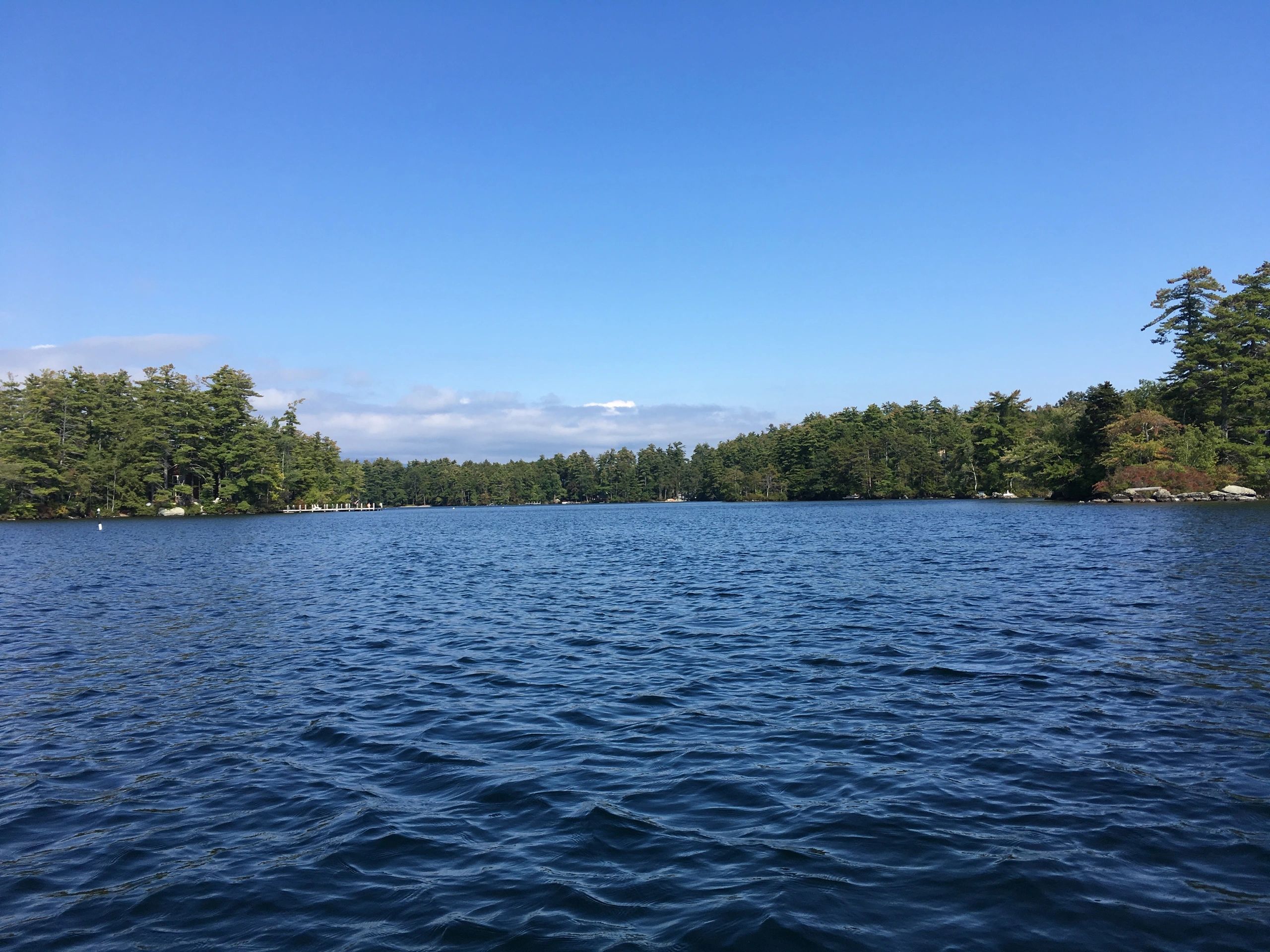 Meredith Neck and Islands Alliance