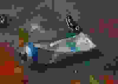 About Greg | Greg Storer Art