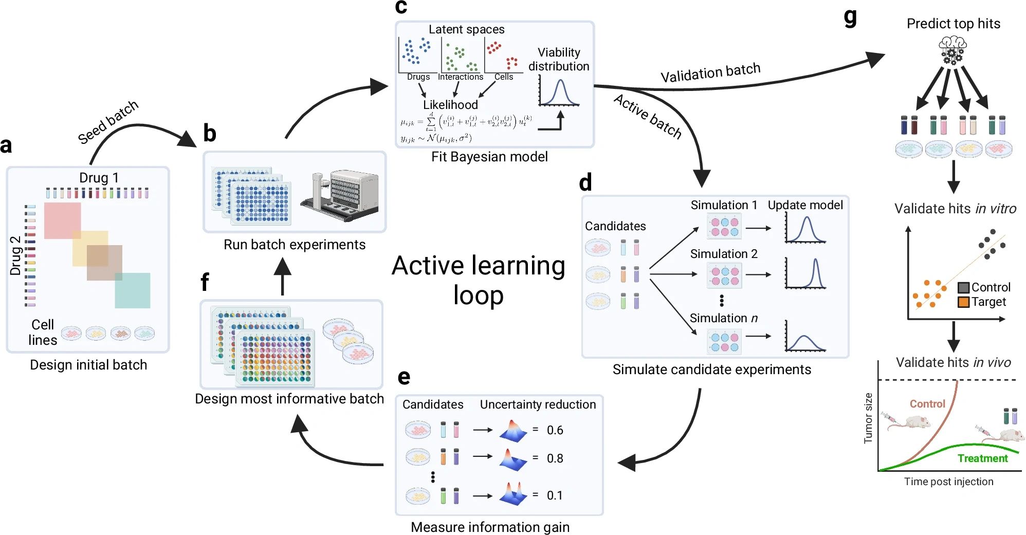 Combination Drug Screening: A Bayesian Active Learning Approach