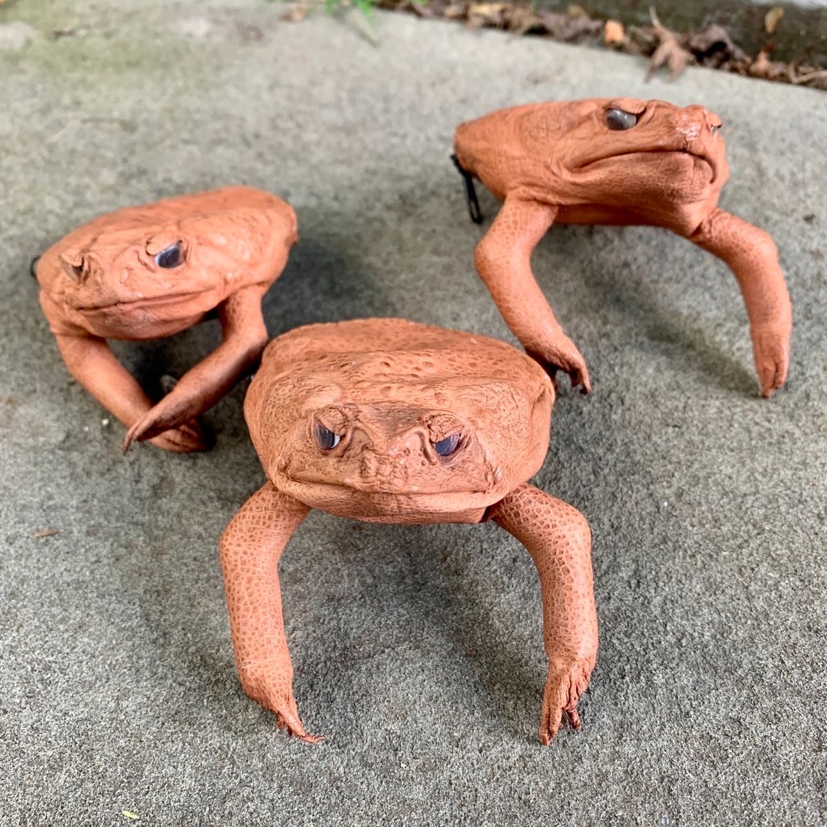 Half Body Toad Purse