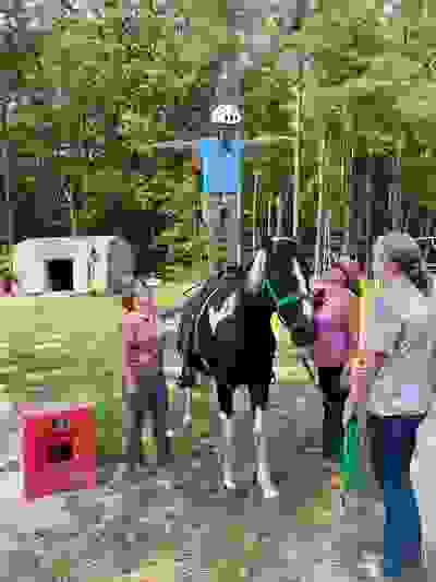 Sonshine Equine Horsemanship and Therapeutic Riding Center - Home