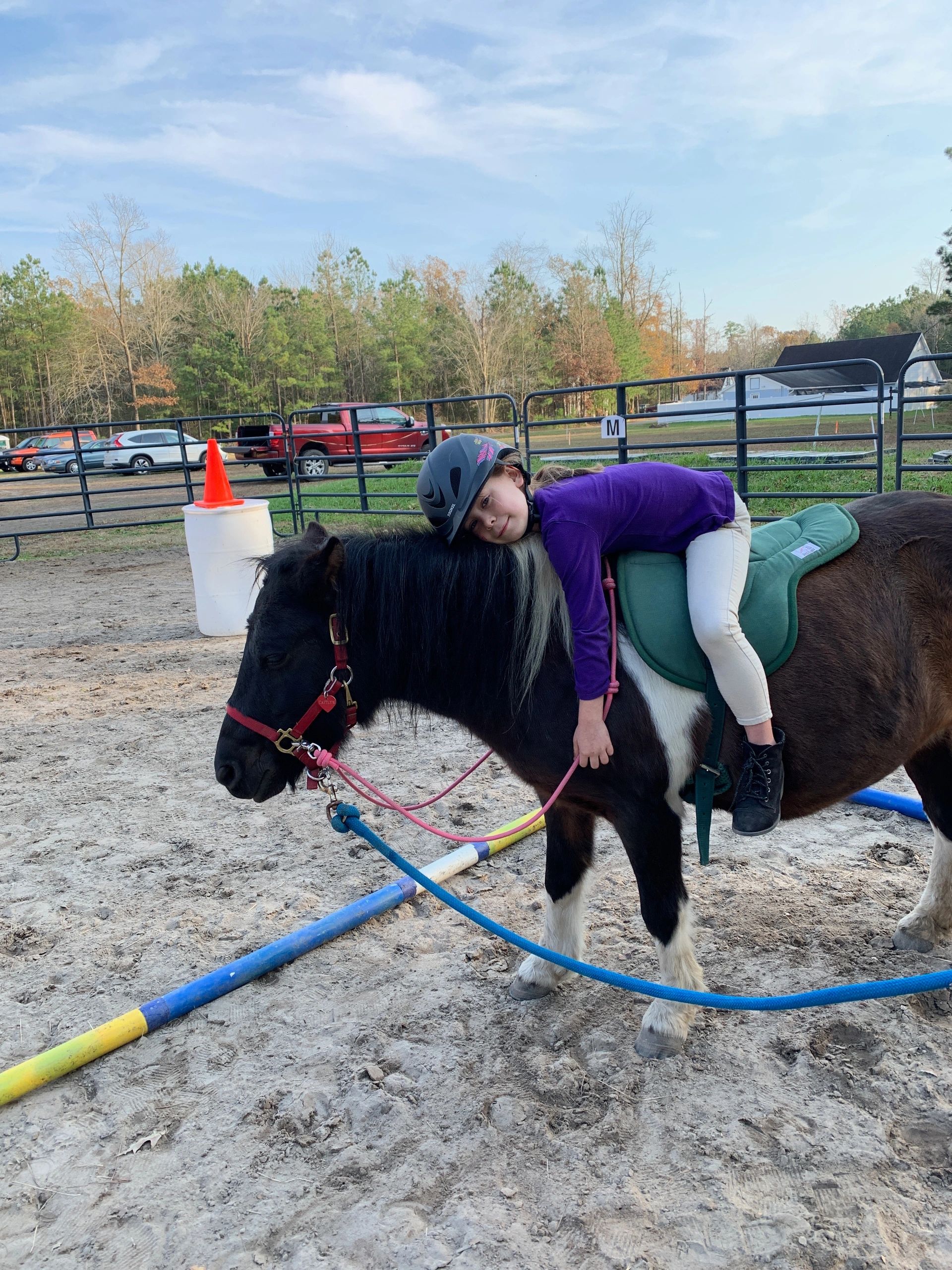 Sonshine Equine Horsemanship and Therapeutic Riding Center - Home