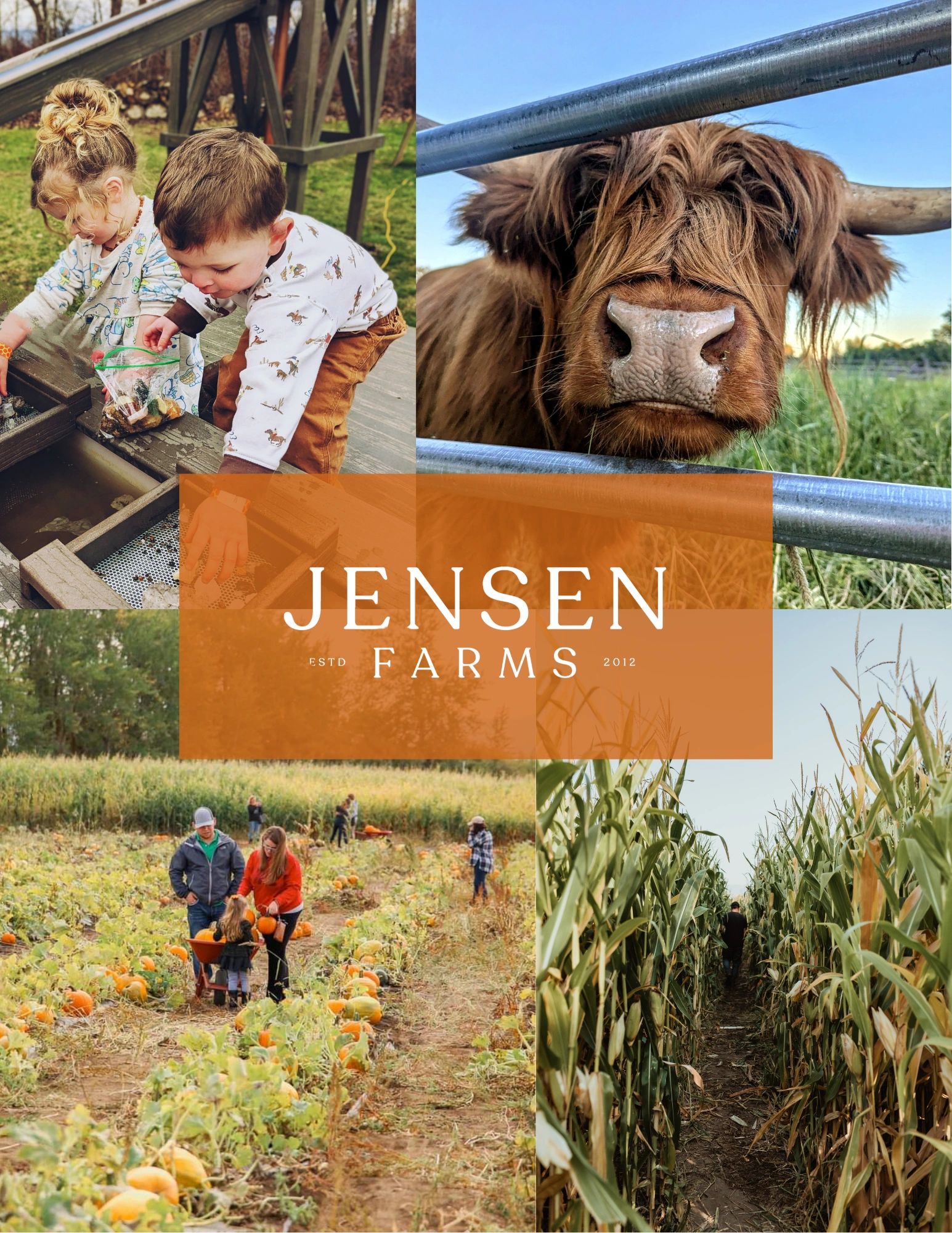 Jensen Farms