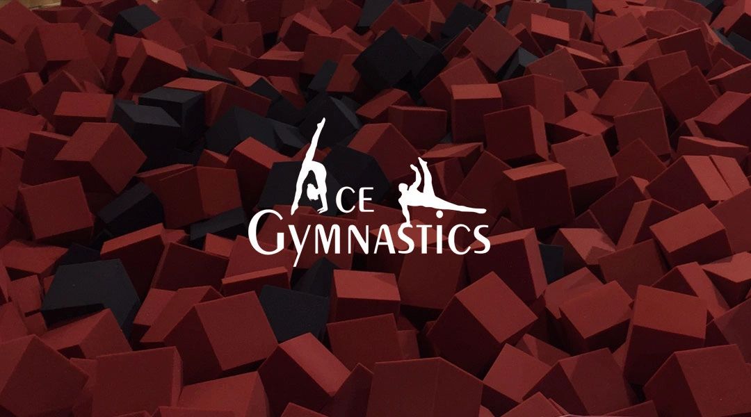 HOME [acegymnasticsalbany.com]